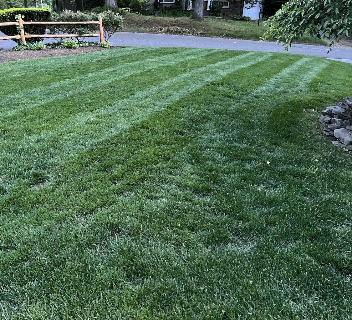 Lawn Aeration and Its Benefits: A Master Landscaper's Guide